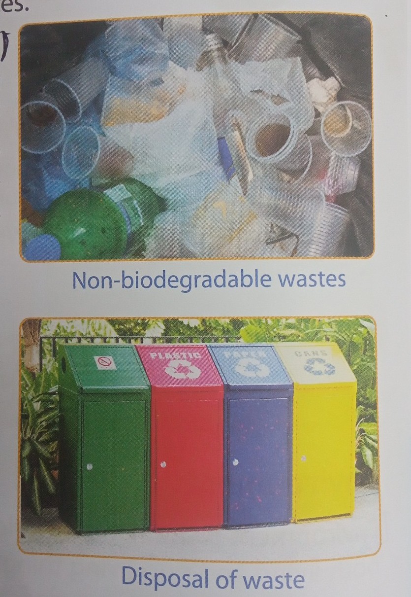 Our Environment, Class- 5, Subject- Social studies, Solved exercises ...